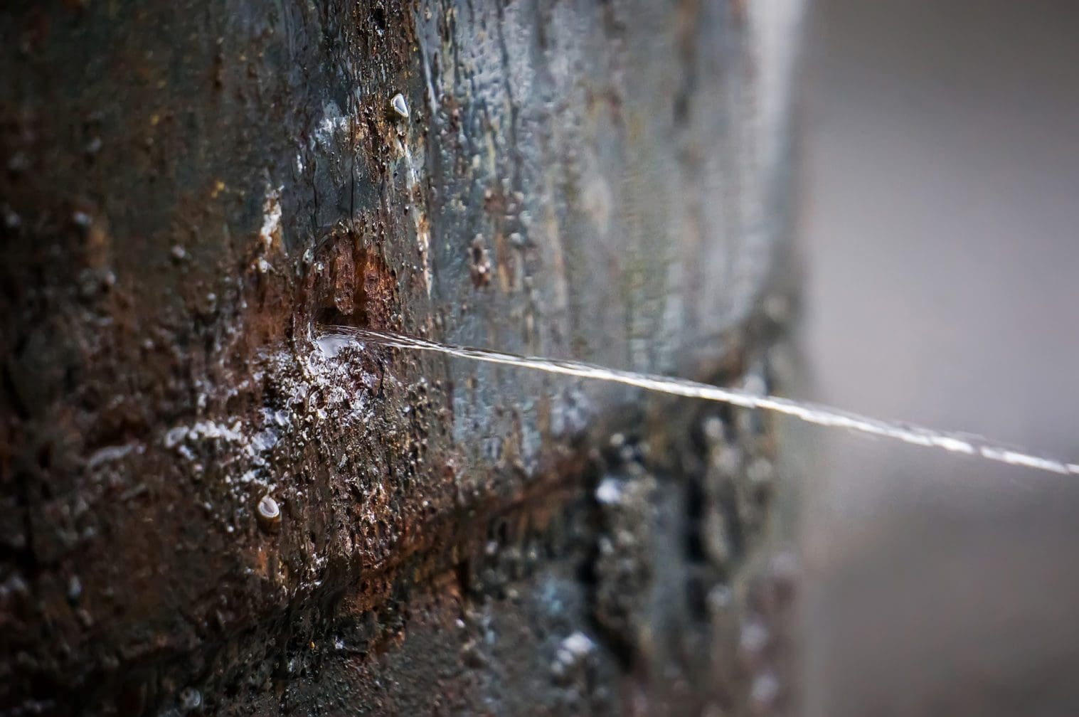 Wasserrohrbruch: Rohrbruch erkennen - Wie geht's, und was dann?!